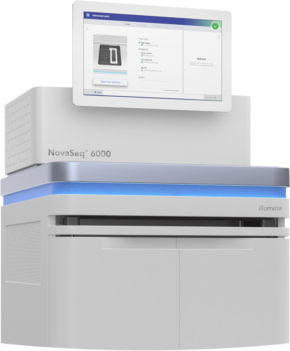 Полное секвенирование генома: расшифровка ДНК человека в генетическом ...